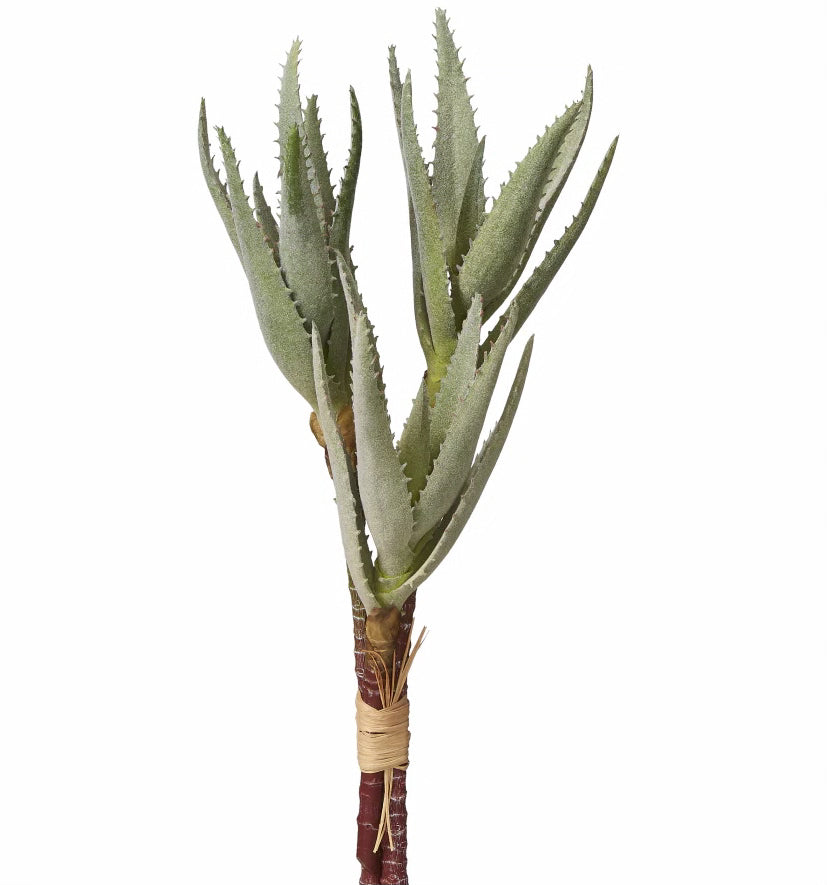16" Aloe Stem - 3 Heads – Cokas Diko Home